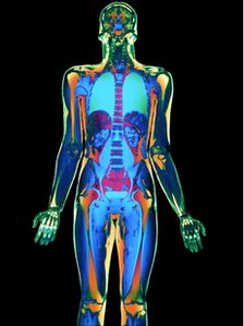 MRI_Whole_Body energy cropped SM - Dr. Scott A. Saunders